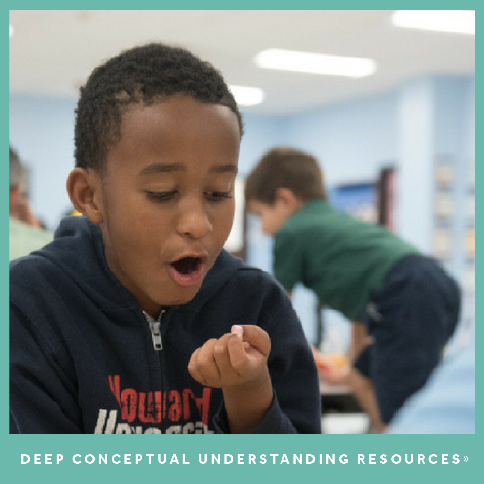 Conceptual Understanding | ST Math